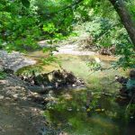 R2T, Inc. – River to Tap