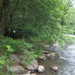 R2T, Inc. – River to Tap