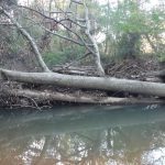 R2T, Inc. – River to Tap